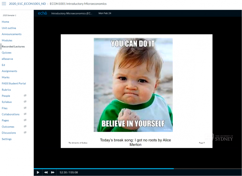 Memes, polling, and scribbles: An Introduction to Microeconomics ...