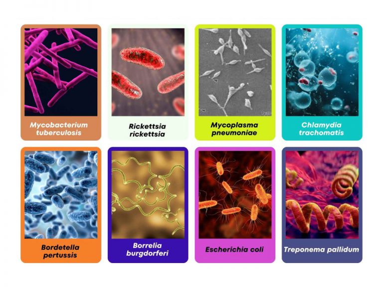 “What’s your diagnosis?”: Engaging medical students with board games ...