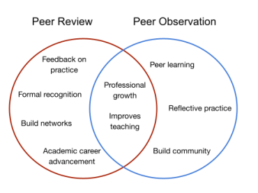 Supporting tutors through Peer Observation – Teaching@Sydney