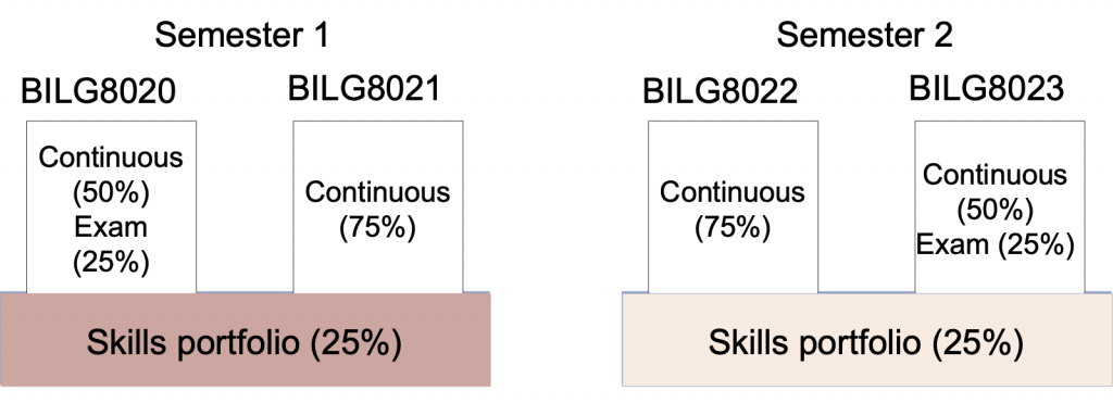 Program level assessment design and the two-lane approach – Teaching@Sydney